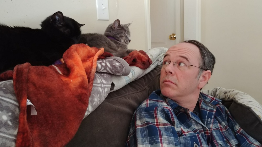 Cat Dads - The Dedicated Feline Enthusiast
